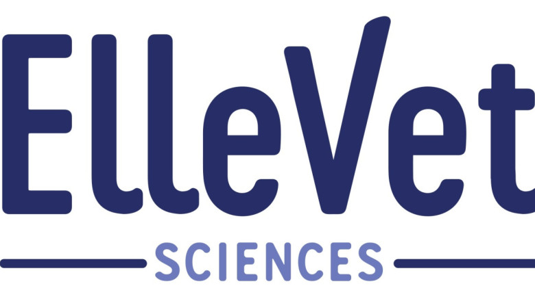 ElleVet Sciences, la marca líder de CBD+CBDA para mascotas en Estados ...