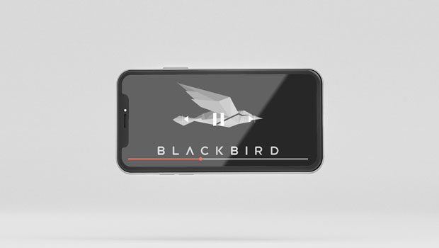 Blackbird recauda £8 millones para desarrollar una oferta tecnológica ...